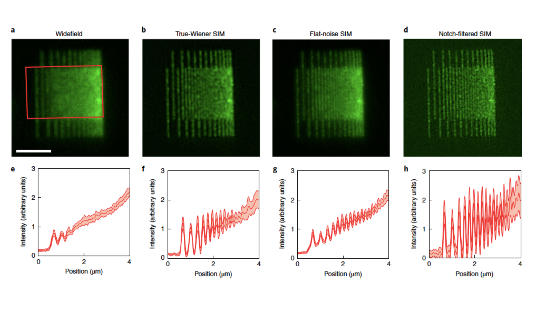 New Paper Structured Illumination Microscopy With Noise Controlled Image Reconstructions